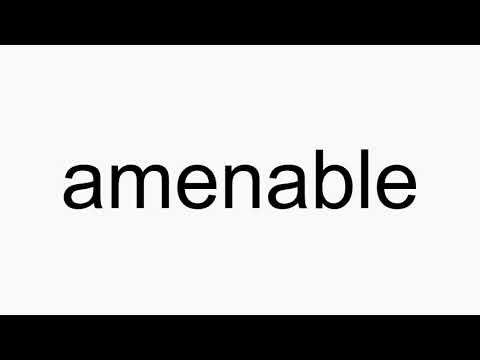 How to pronounce amenable