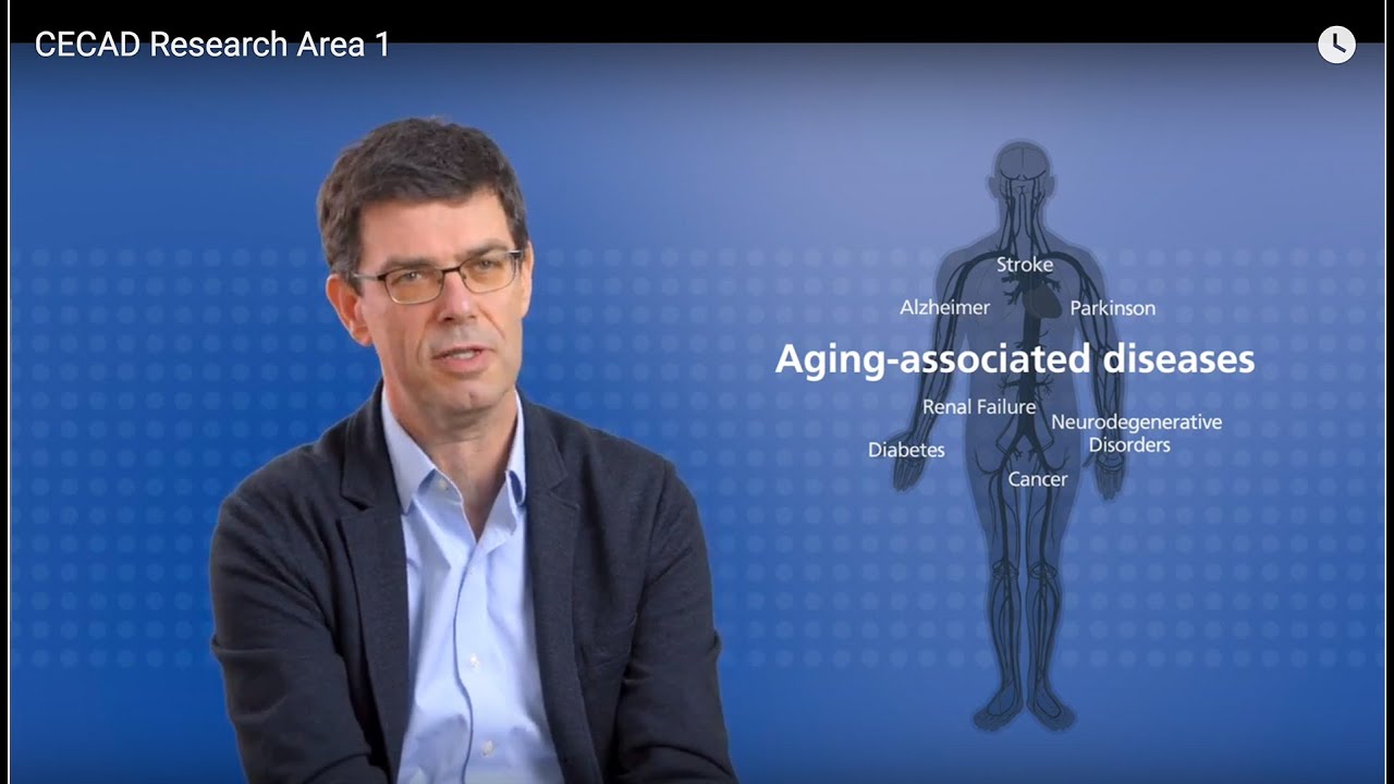 CECAD Research Area 1