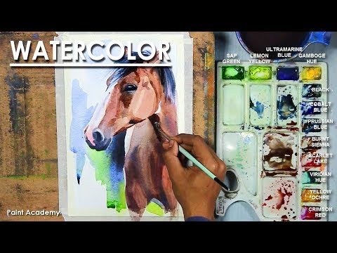 Watercolor Painting : How to Paint Horse – Earlene Printz