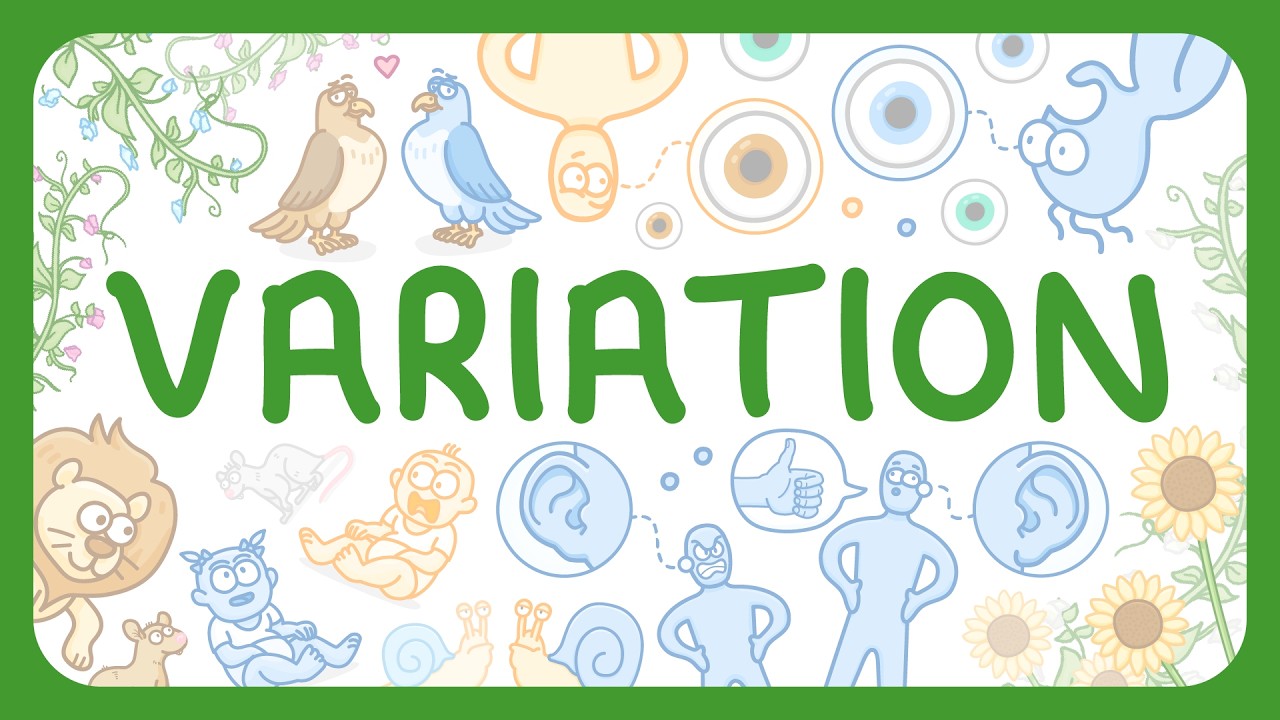 KS3 Biology - Variation