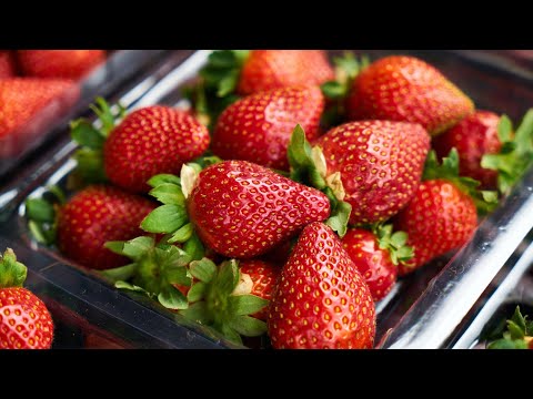 Are STRAWBERRIES Actually Healthy for You? (2024)