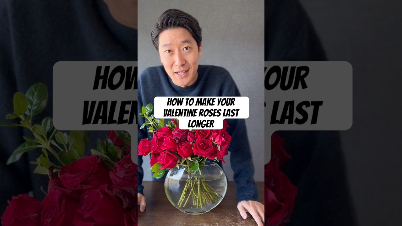 How to make roses last longer #flowerarrangement #bouquet #valentinesday