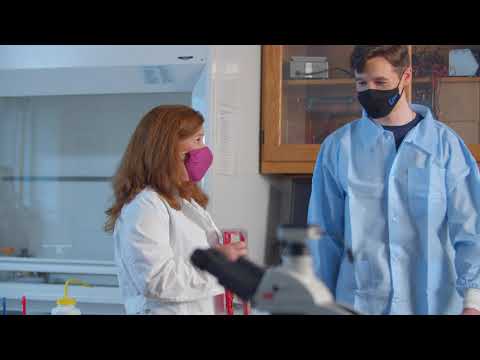Earn a B.S. Degree in Microbiology Through UF Online | Apply Now!