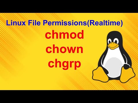 Linux File Permissions ( chmod, chown, chgrp )