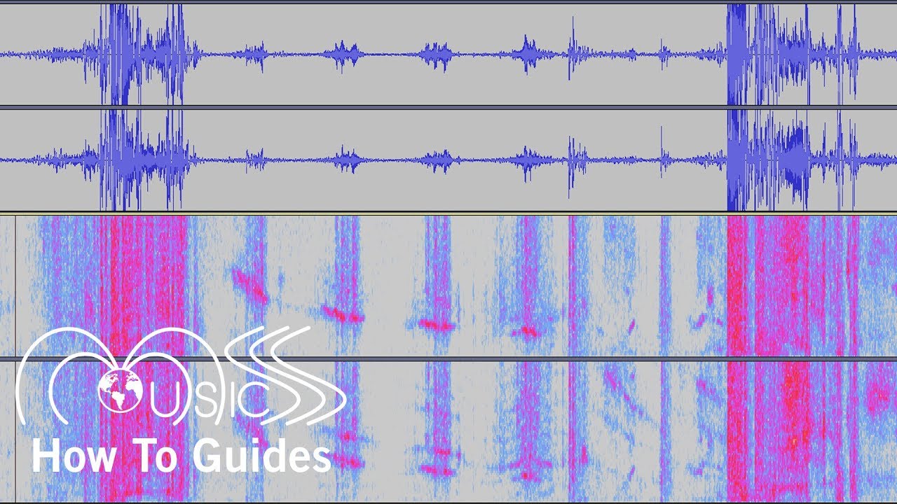 How To Show Spectrograms in Audacity | MUSICS How To Guides