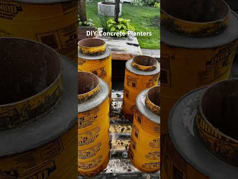 DIY Concrete Planters