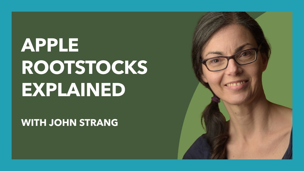 M9? G41? Apple Rootstocks Explained with John Strang ( EPS # 88)