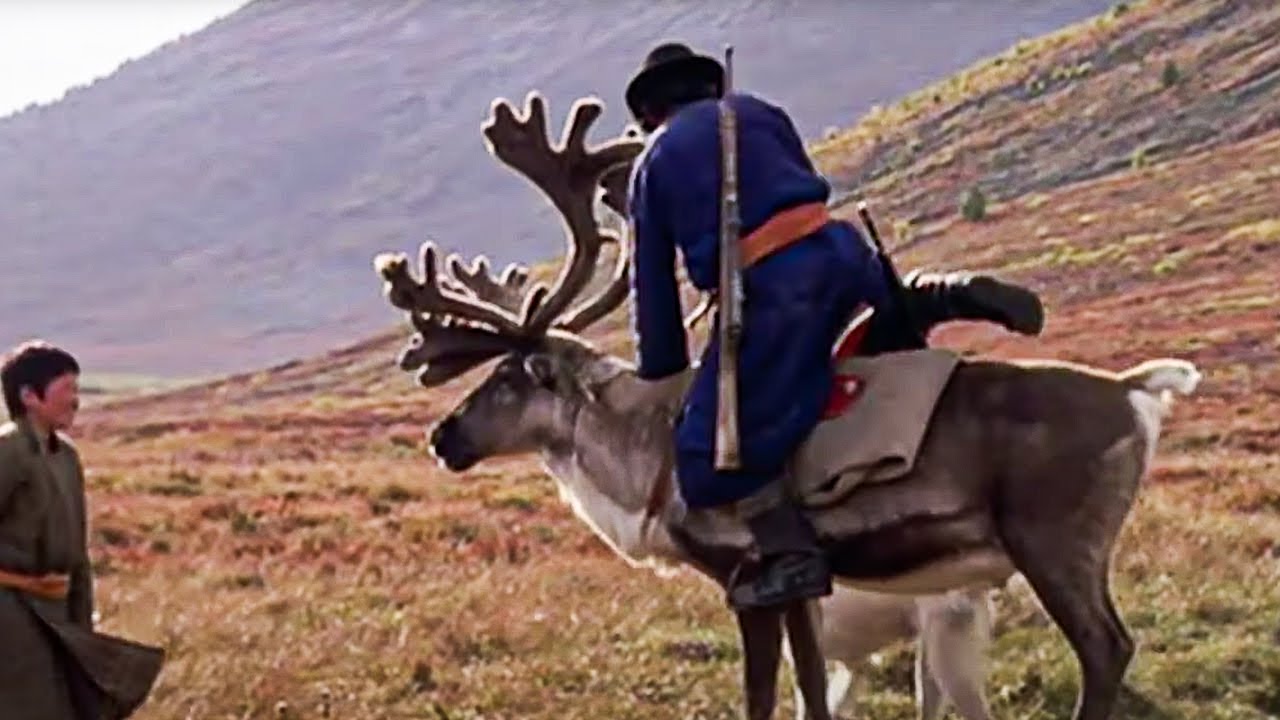 The Tsaatan ride the reindeer - Lords of the Animals - Documentarytube.com