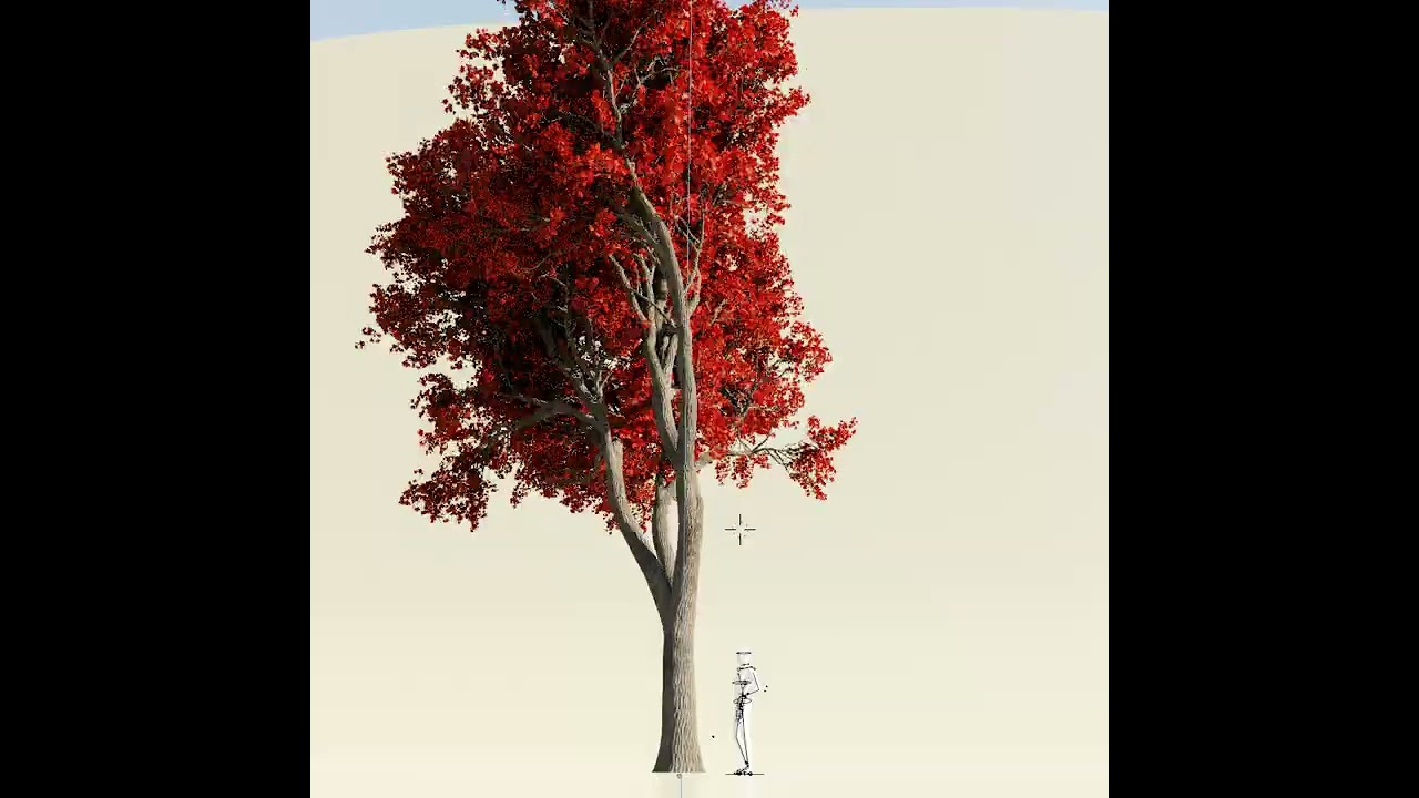 3D Maple Tree made with Geometry Nodes