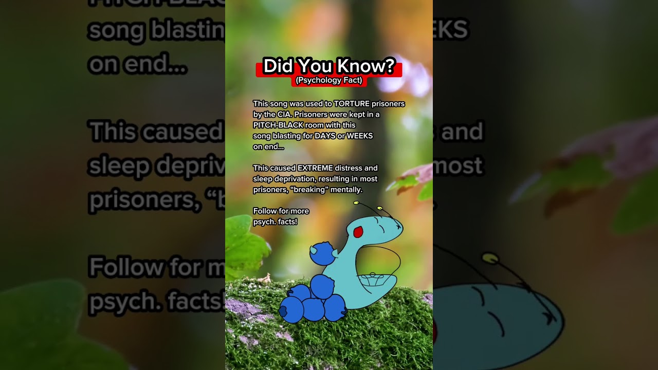 Sleep Deprivation CIA Torture - Meow Mix Song