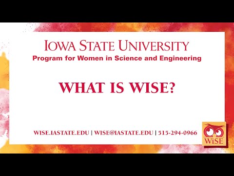What is WiSE?