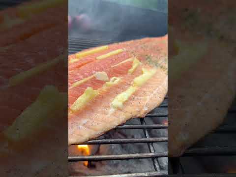 #lachs #lachsforelle #deutschland