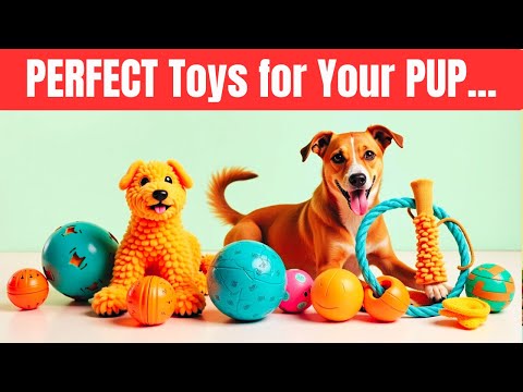"Top 10 Best Dog Toys for 2024: Durable, Interactive & Perfect for Chewers!"