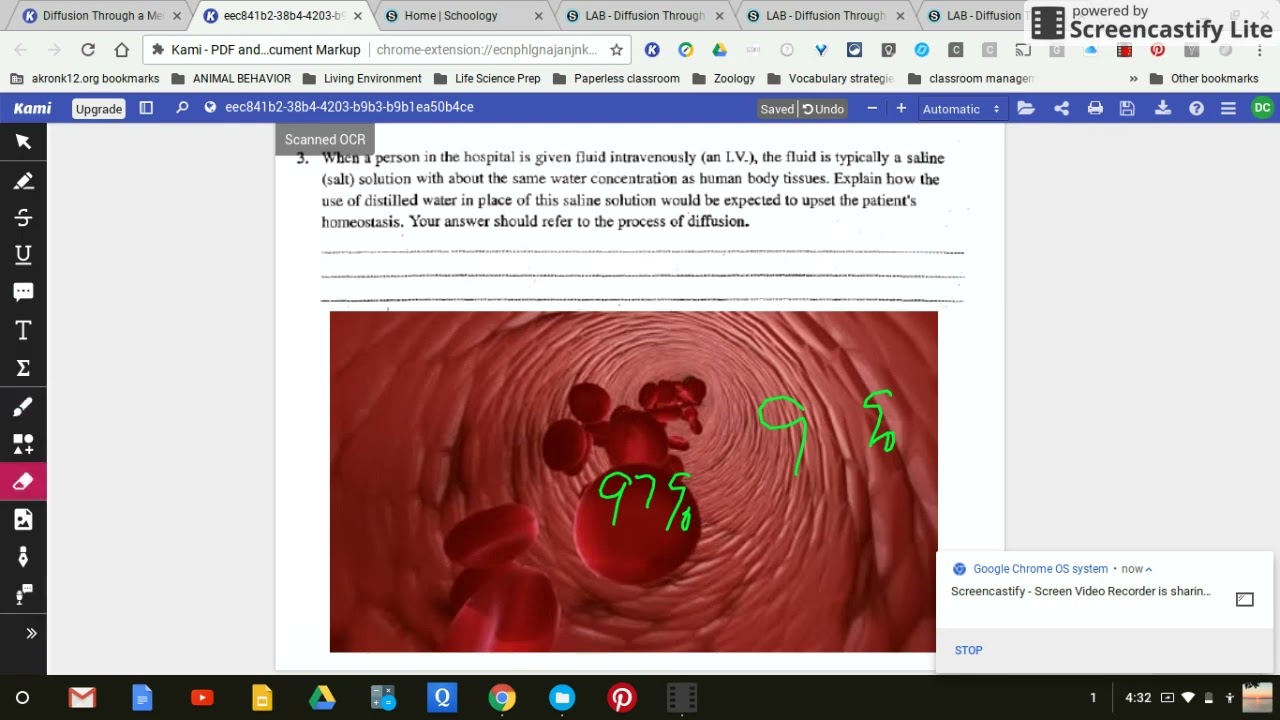 Diffusion Lab Analysis Questions