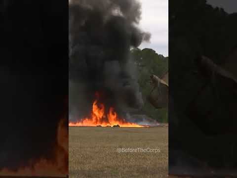 Marine Corps EOD Short | USMC 2022