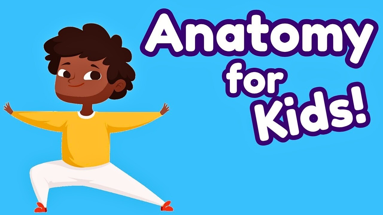 Human Anatomy for Kids: The Brain, Heart, Eyes & Nose!