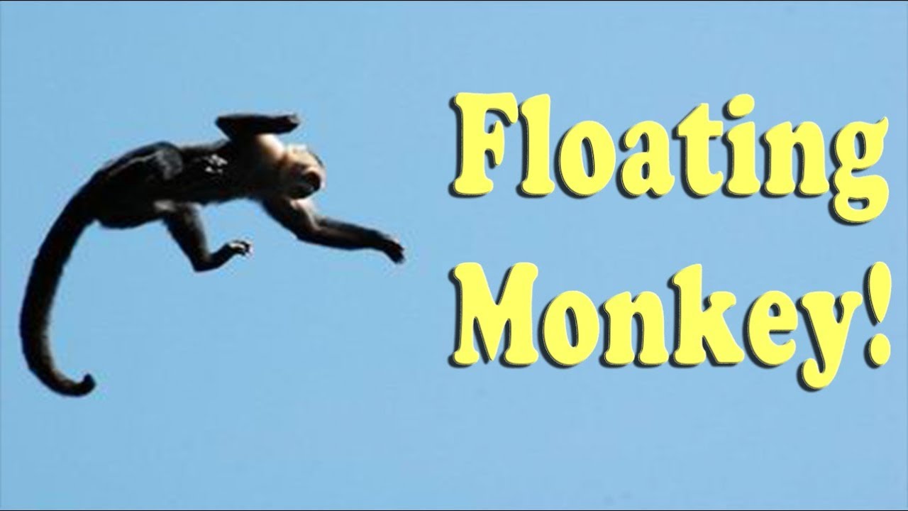 Making a Monkey Levitate