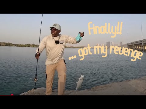 I changed my fishing spot queenfish followed me there AGAIN | Umm Yifenah Bridge, Abu Dhabi