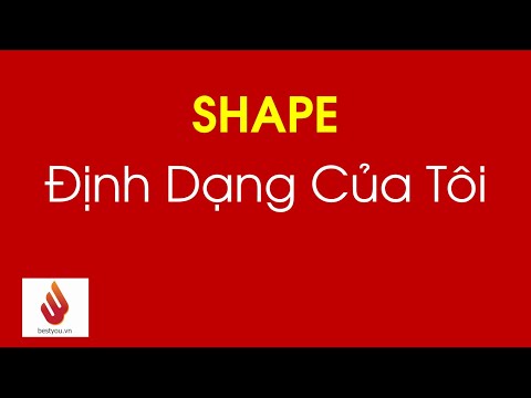 Bonus – Quà Tặng 2 || SHAPE – ĐỊNH DẠNG của BẠN – BestYou