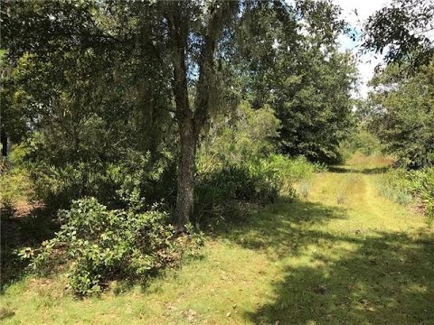 Homes for Sale - 10# HILDA ANN ROAD, ZEPHYRHILLS, FL