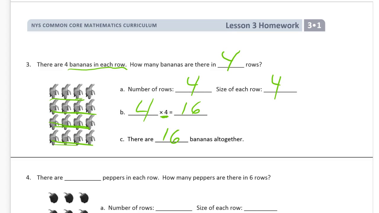 lesson 3 homework module 1 grade 3