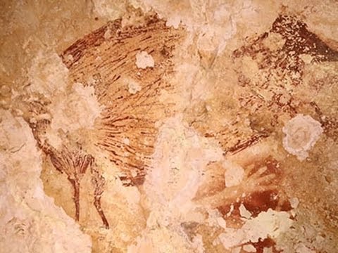 Study: Asian Cave Drawings As Old As Europe's