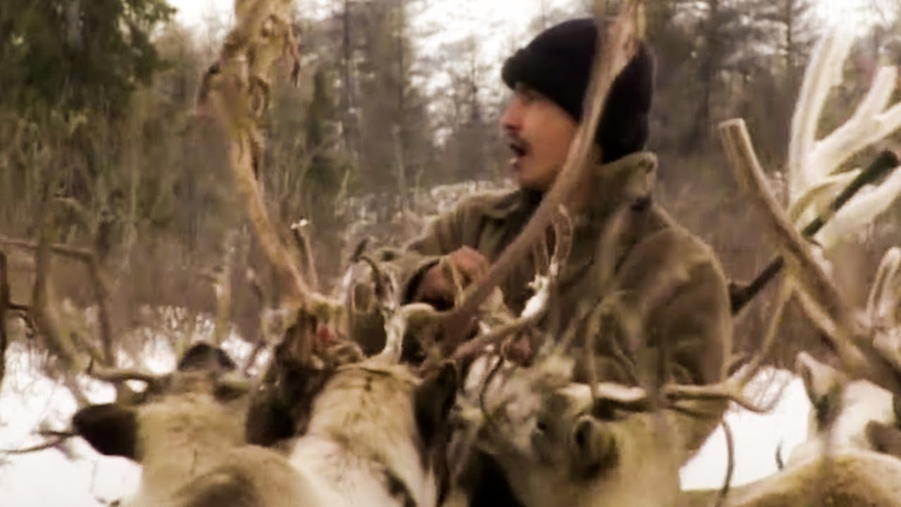 Documentaire | Sur les traces des Evenks, les nomades sibériens