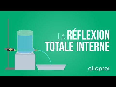 PHY5061 - Cours de physique à l'éducation des adultes