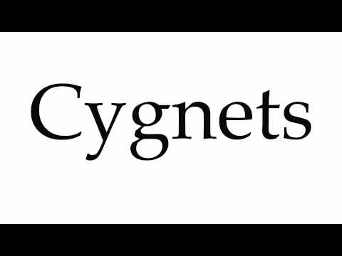How to Pronounce Cygnets