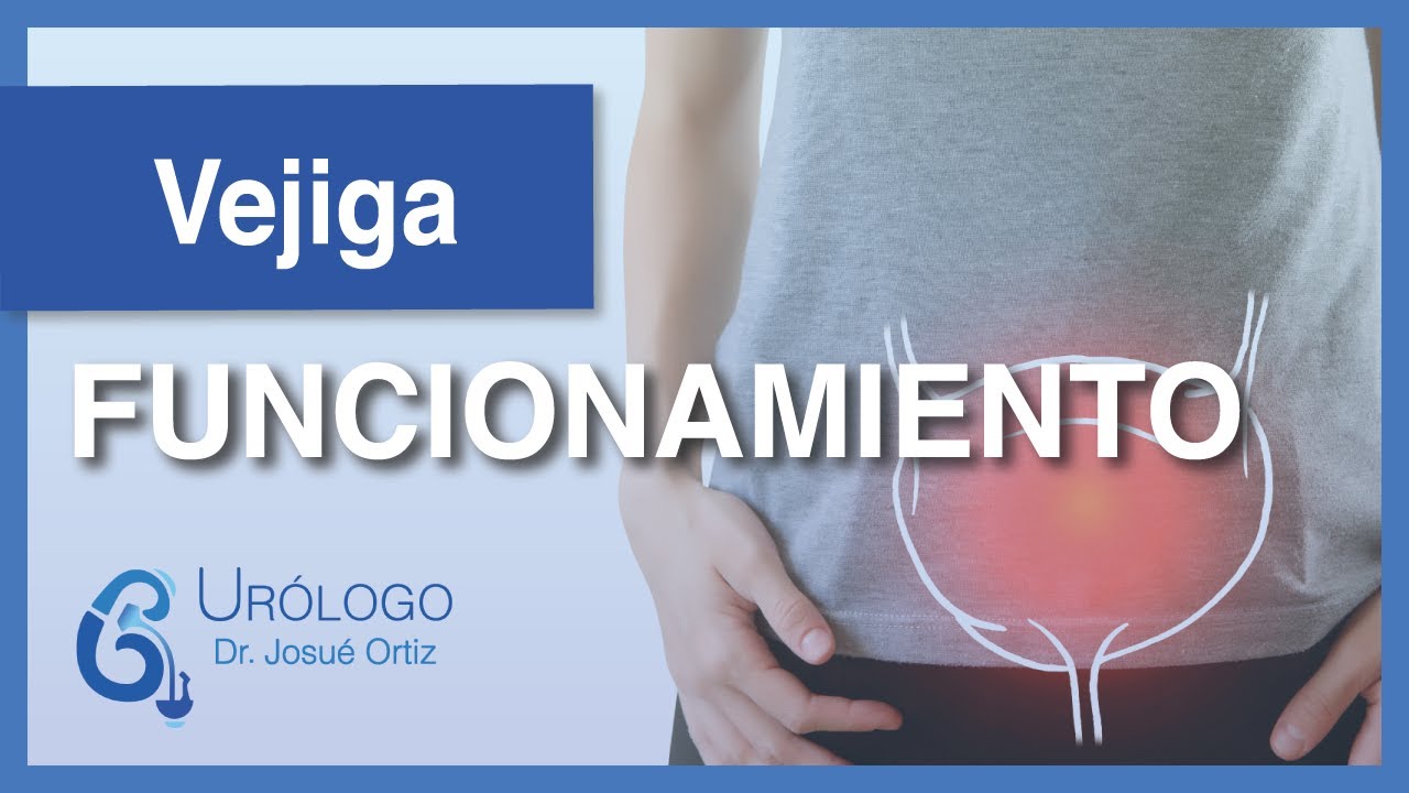 FUNCIONAMIENTO de la VEJIGA - URÓLOGO Josué Ortíz