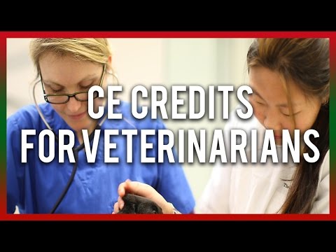 CE Credits for Veterinarians – Veterinary Continuing Education
