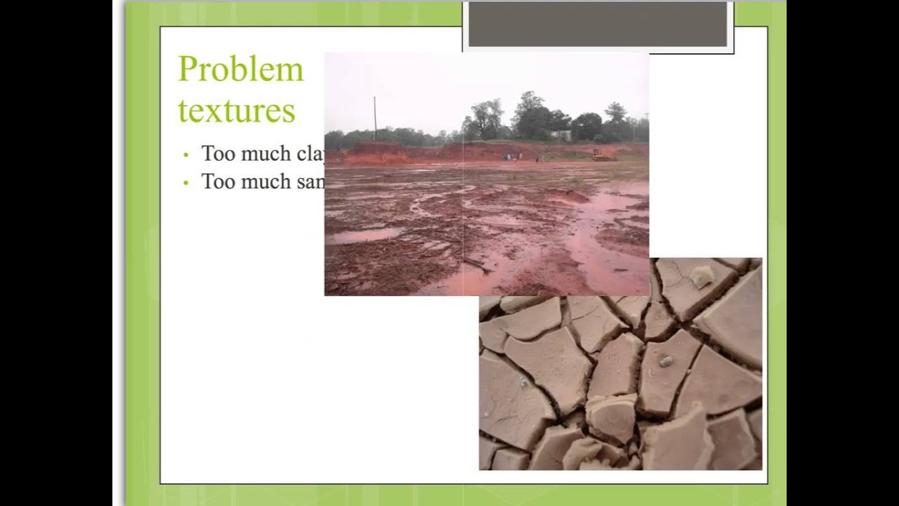 Intro to Soils
