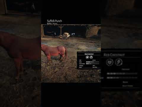 Steam Community :: Video :: RDR2 • All Suffolk Punch Horse Colors and ...