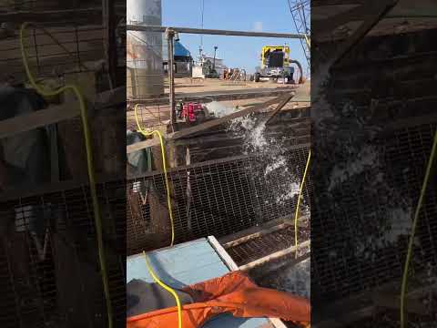 Harbor Freight Trash Pumps Saved Our Ship