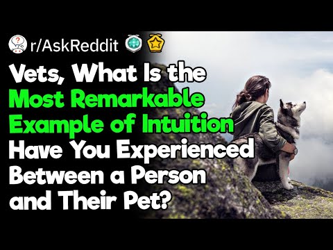 Vets, What’s the Coolest Intuition Between Pets and Owners?