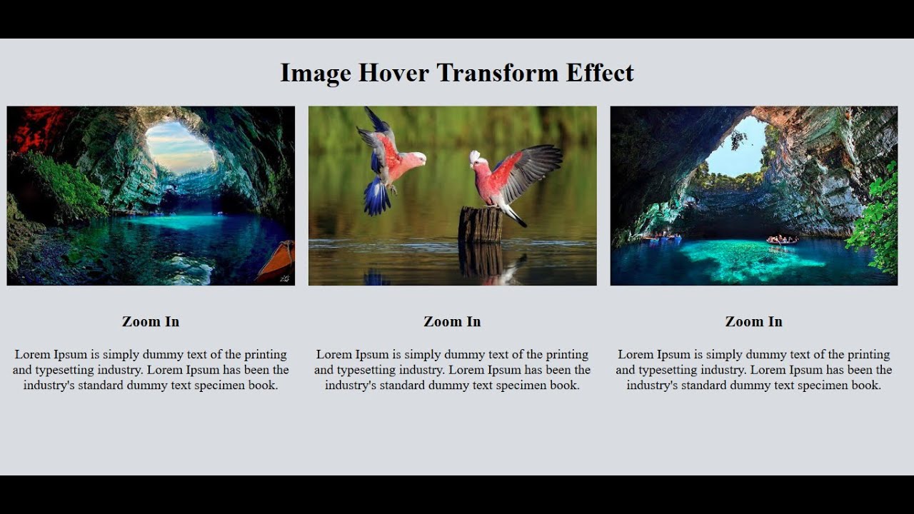 Image Hover Zoom In Transform Effect Using Only HTML & CSS - SFC