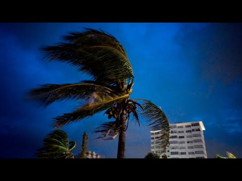 'Fair dinkum natural light show' in Darwin to celebrate NYE