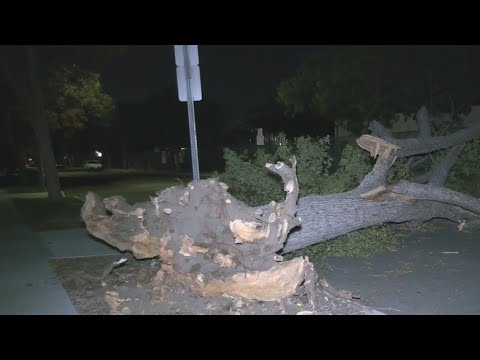 High winds cause damage across Southern California