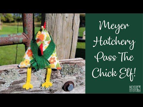 Meyer Hatchery's Pass the Chick Elf!