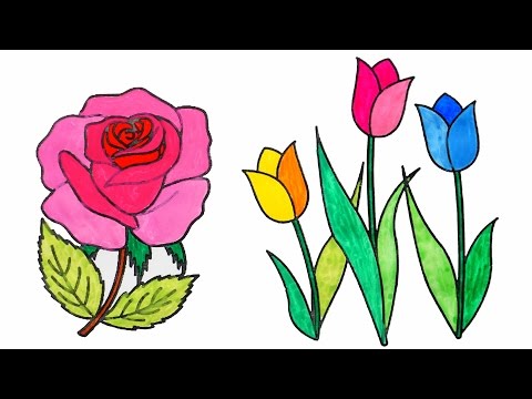Coloring Rose and Tulips | Flower Coloring Pages | Colorful House Tv