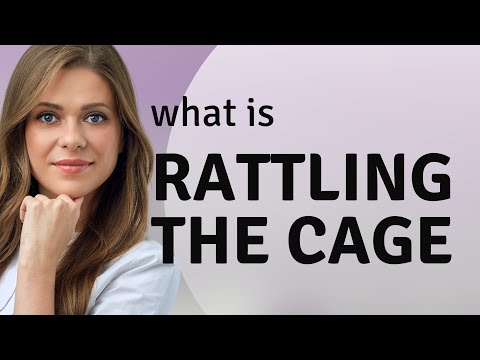 Understanding "Rattling the Cage": An English Idiom Explained