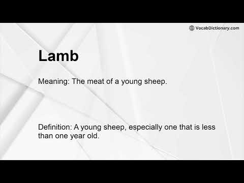 Lamb Meaning