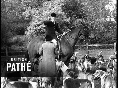 Hunt Meet At Lyndhurst, New Forest (1934)