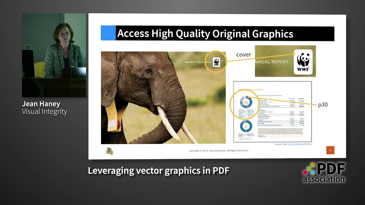 Leveraging vector graphics in PDF