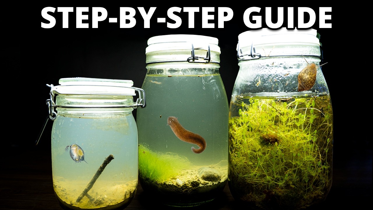 How to Build a Self-Sustaining Jar Ecosystem