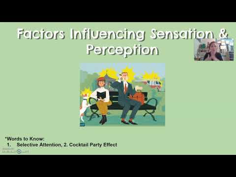 Part 1 - Principles of Sensation and Perception