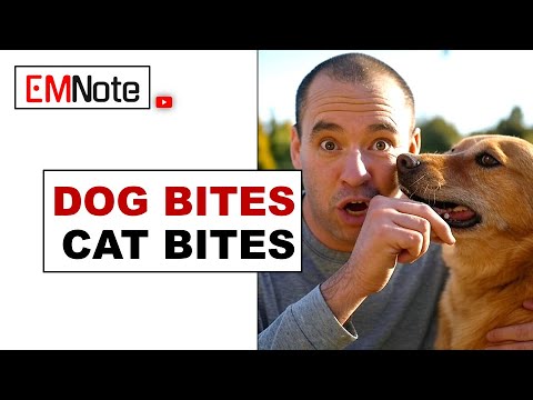Dog and Cat Bites (Animal Bites)