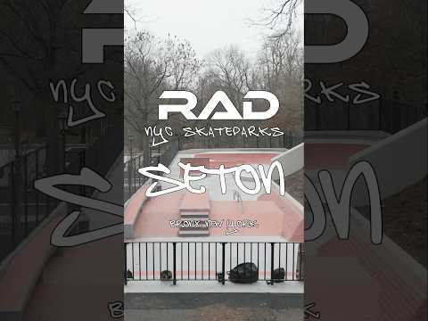 SETON SKATEPARK BRONX NYC #nyc #skatepark #youtube #shorts
