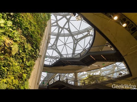 Amazon’s Giant Spheres, A Mini Rainforest | DigiDame