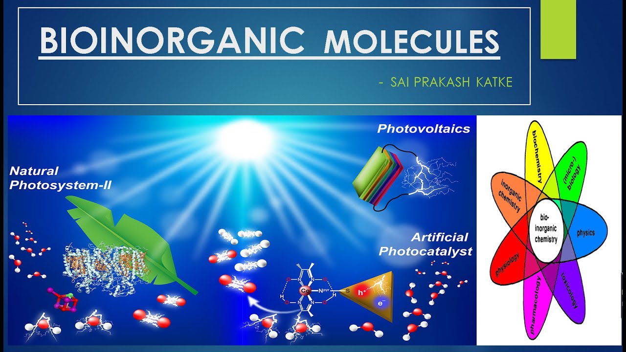 PPT , BIOINORGANIC MOLECULES